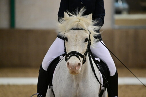 Home | Adrian Howes Photography